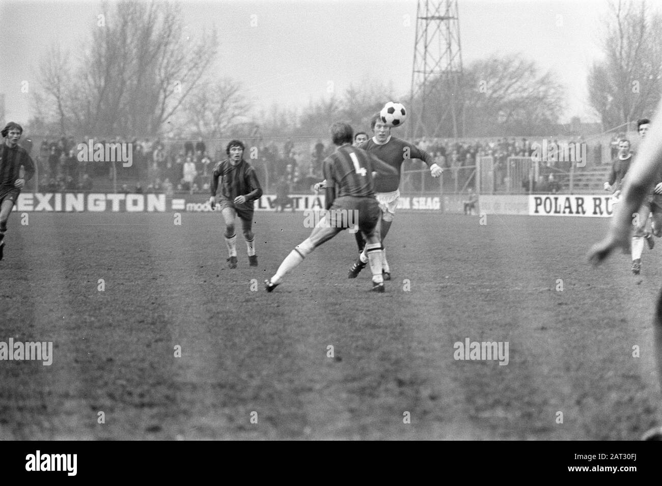 Haarlem cup hi-res stock photography and images - Alamy