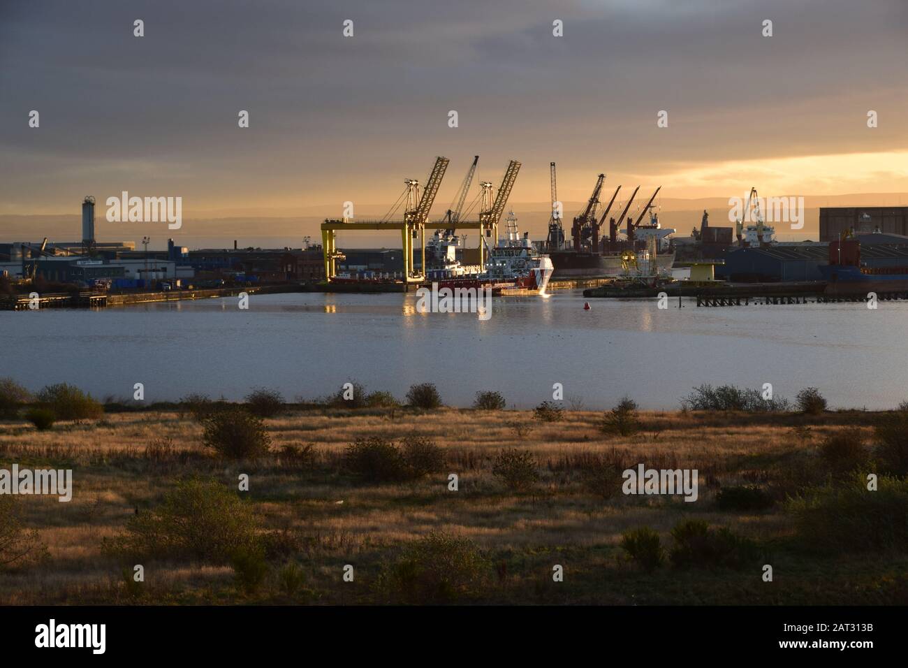 Leith Docks, Edinburgh, at dawn, from Western Harbour Stock Photo - Alamy