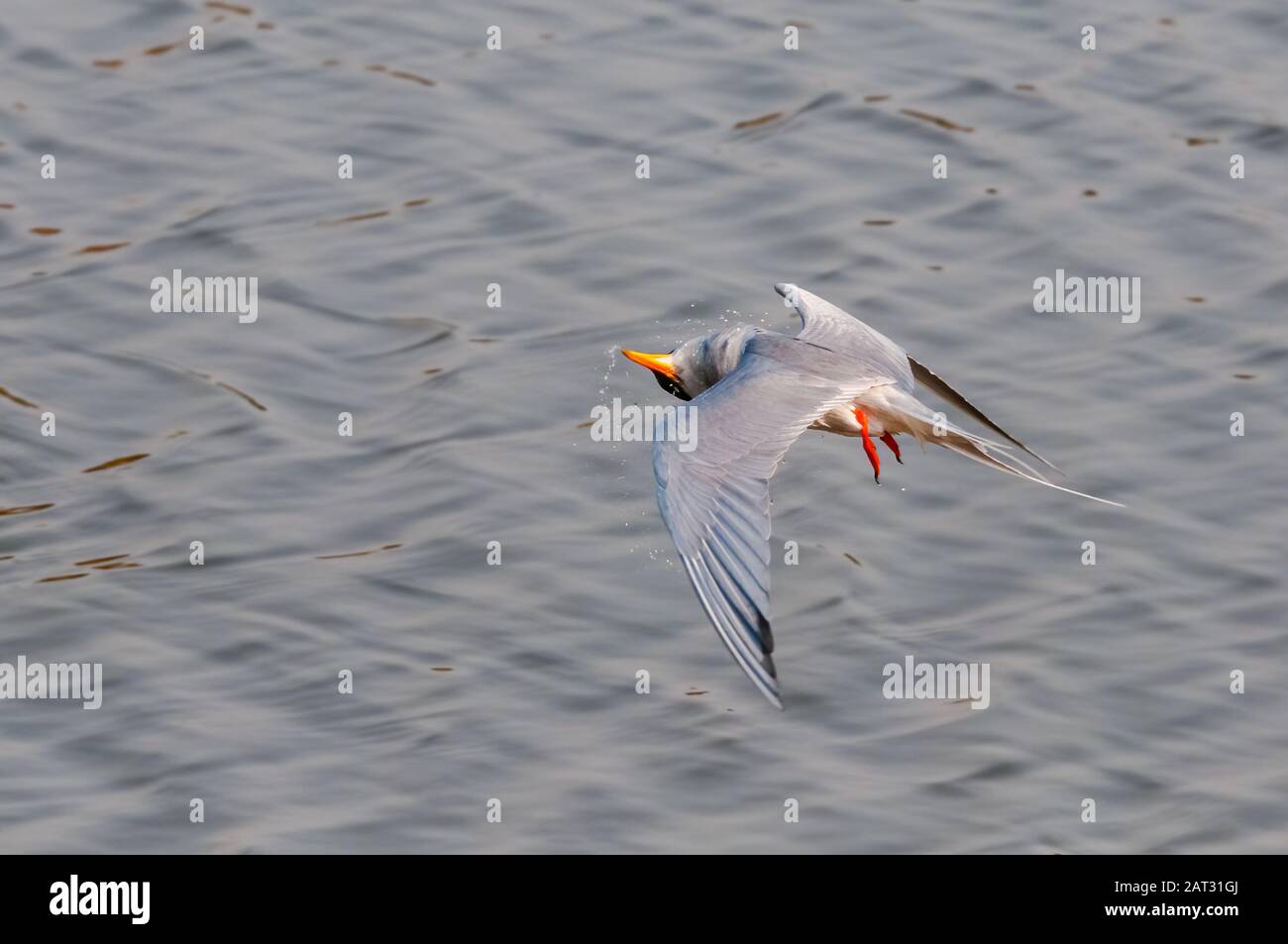 Turn of river hi-res stock photography and images - Alamy