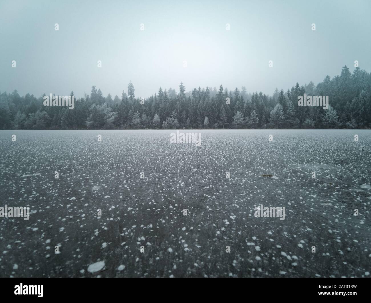 Frozen lake landscape with forest in winter - Frost on trees and grass ...