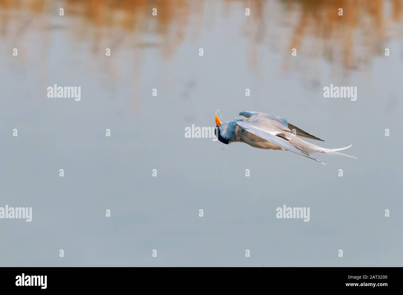 Turn of river hi-res stock photography and images - Alamy