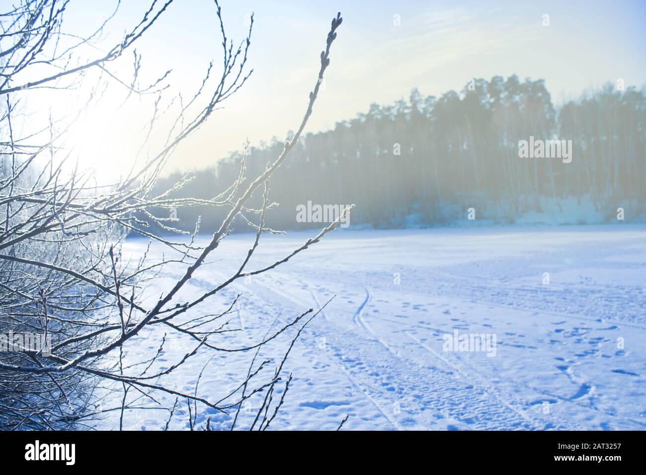 Winter nature. Snowy landscape. Horizontal orientation Stock Photo - Alamy