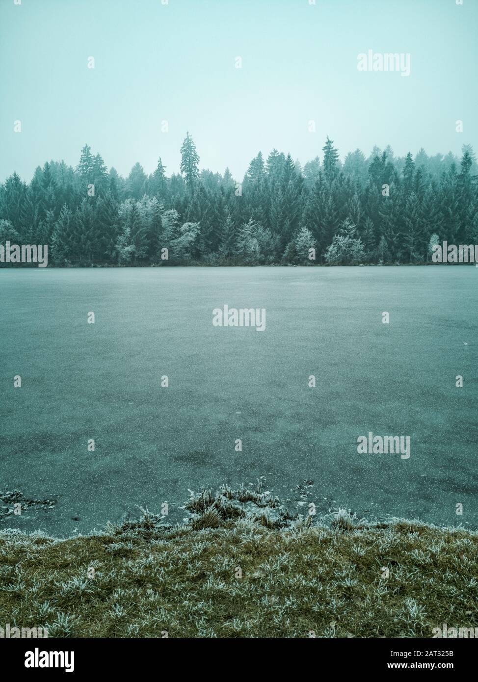 Frozen lake landscape with forest in winter - Frost on trees and grass ...