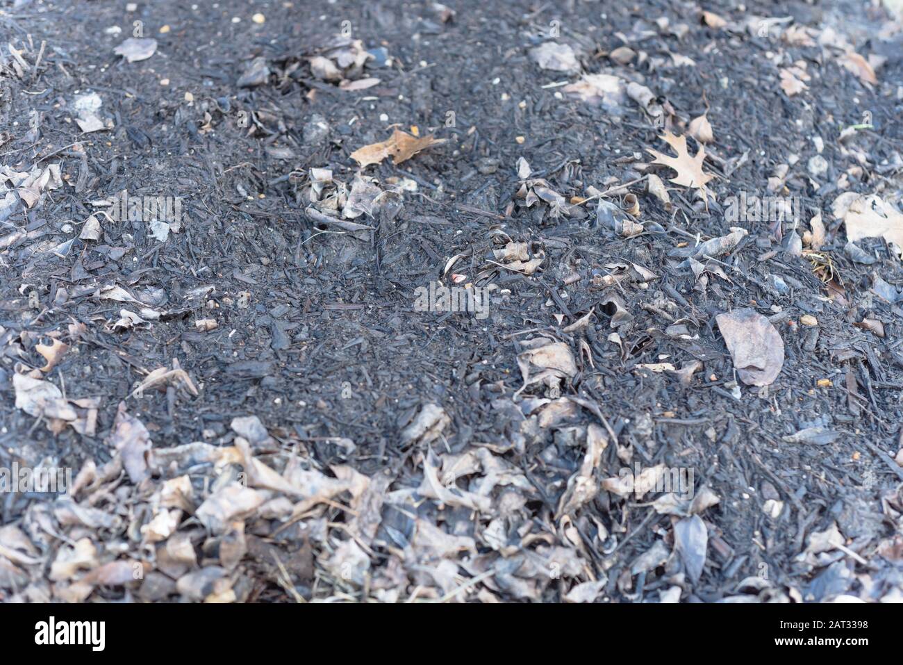 Homemade rich and dark soil decomposed from leaf compost pile Stock ...