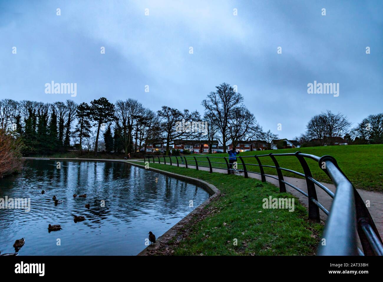 Abington Park, Northampton, the bottom lake just after dawn on a cloudy ...