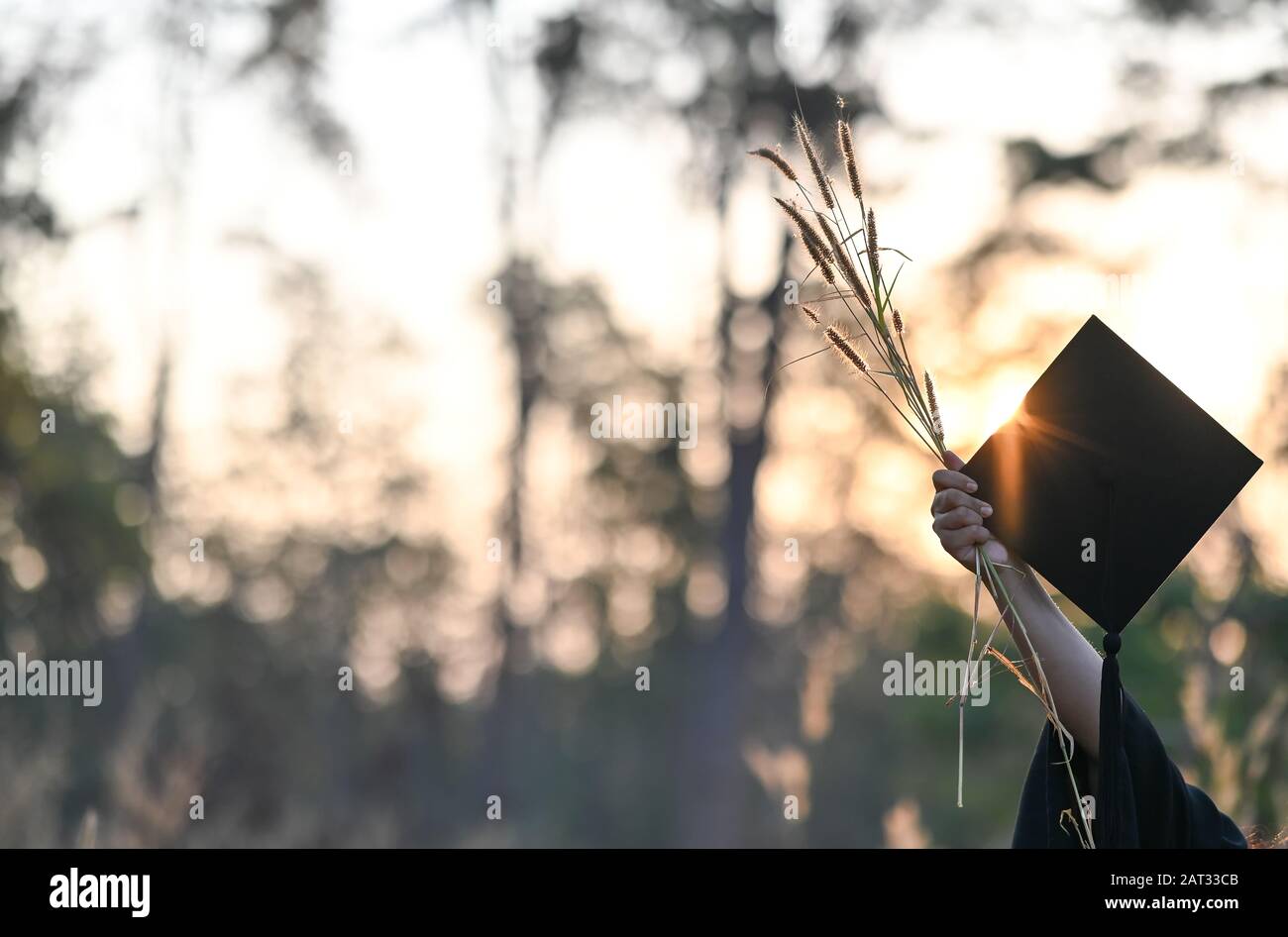 Photo of graduate woman hand holding the graduation cap and wild grass ...