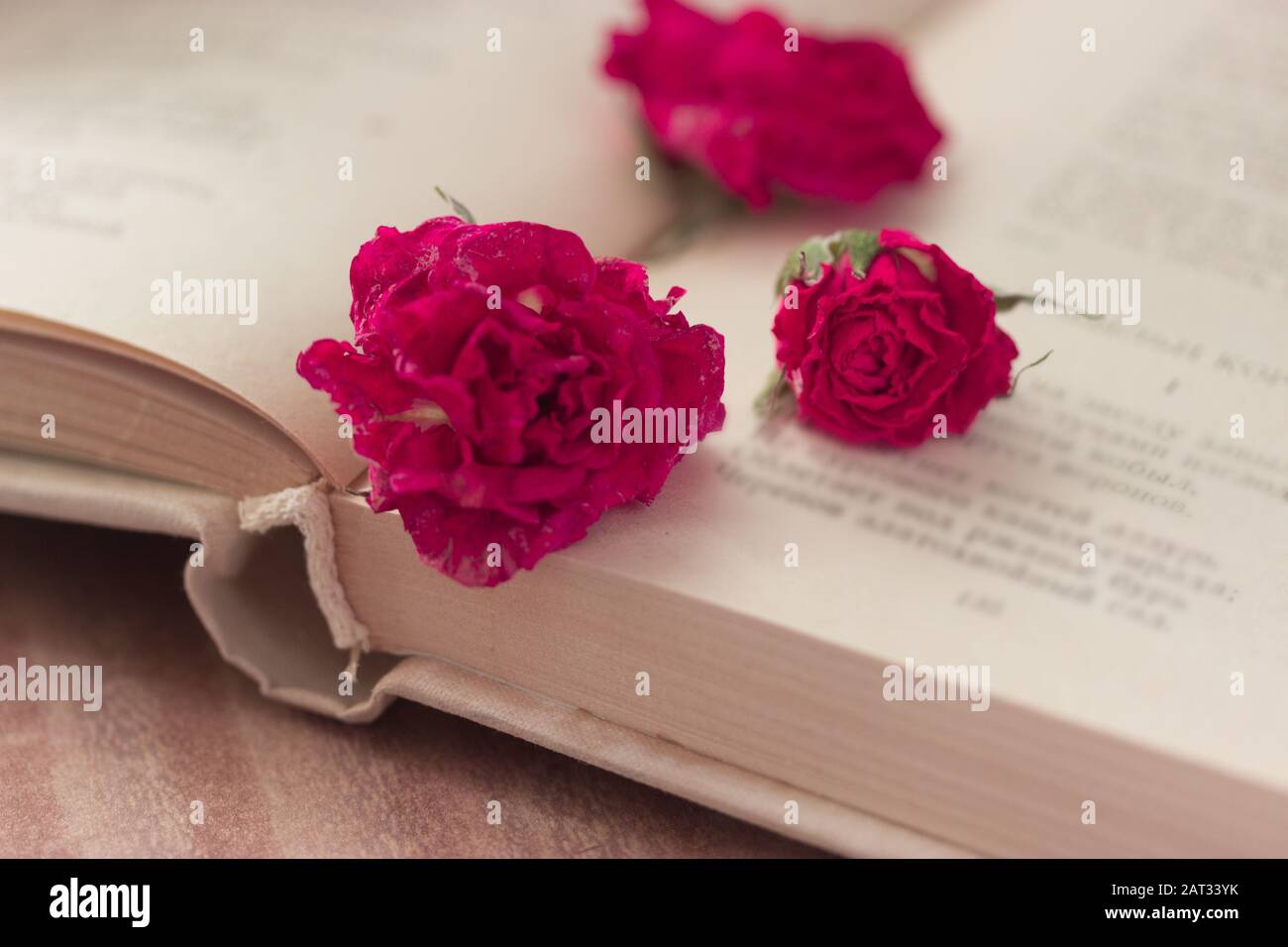 Open book with pink roses on it Stock Photo - Alamy