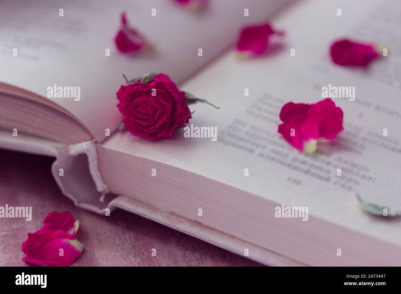 Open book with pink roses on it Stock Photo - Alamy