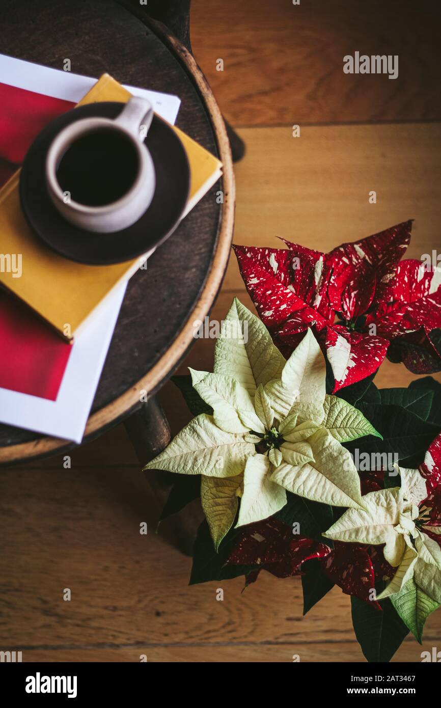 Winter book coffee hi-res stock photography and images - Alamy