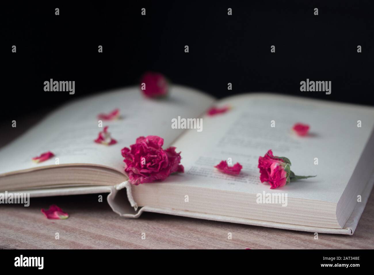 Open book with pink roses on it Stock Photo - Alamy