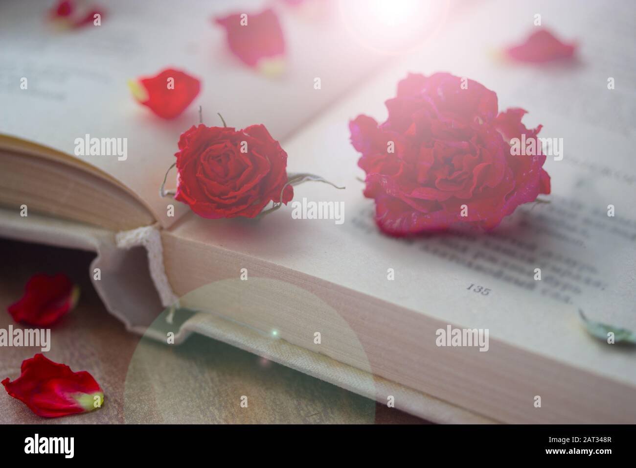 Open book with pink roses on it Stock Photo - Alamy