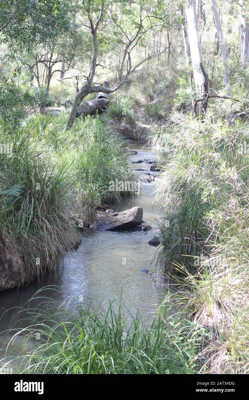 Darling range australia hi-res stock photography and images - Alamy