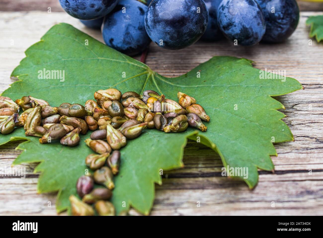 Peep boards hi-res stock photography and images - Alamy