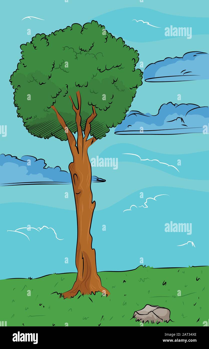 Hand drawn vector tall tree. Comic book style cartoon nature ...