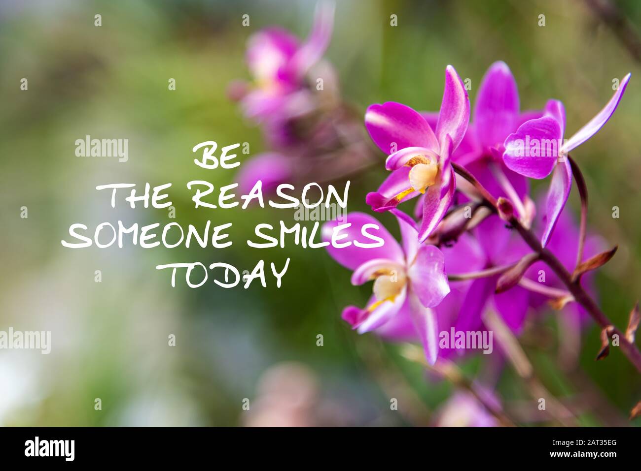 Motivation and inspirational quotes - Be the reason someone smiles ...