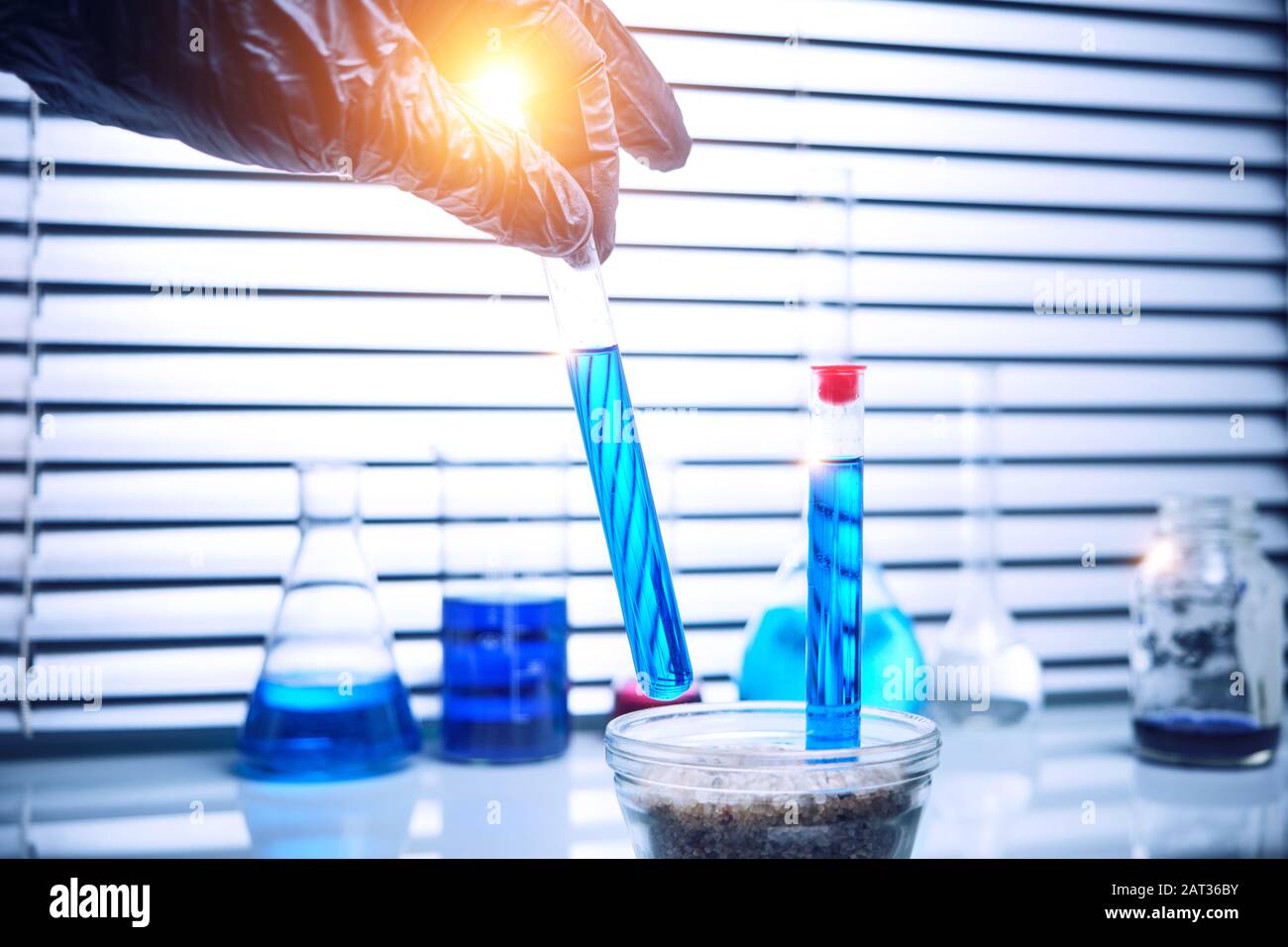 Lab employee in black medical gloves holds a test tube with a blue ...