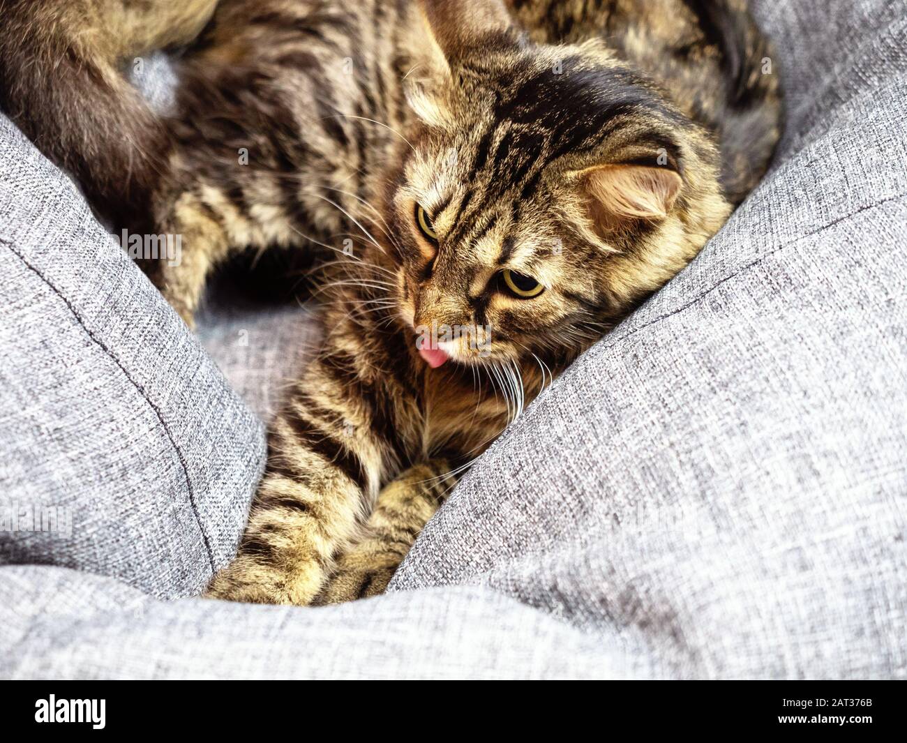 Face cloth pulling face hi-res stock photography and images - Alamy