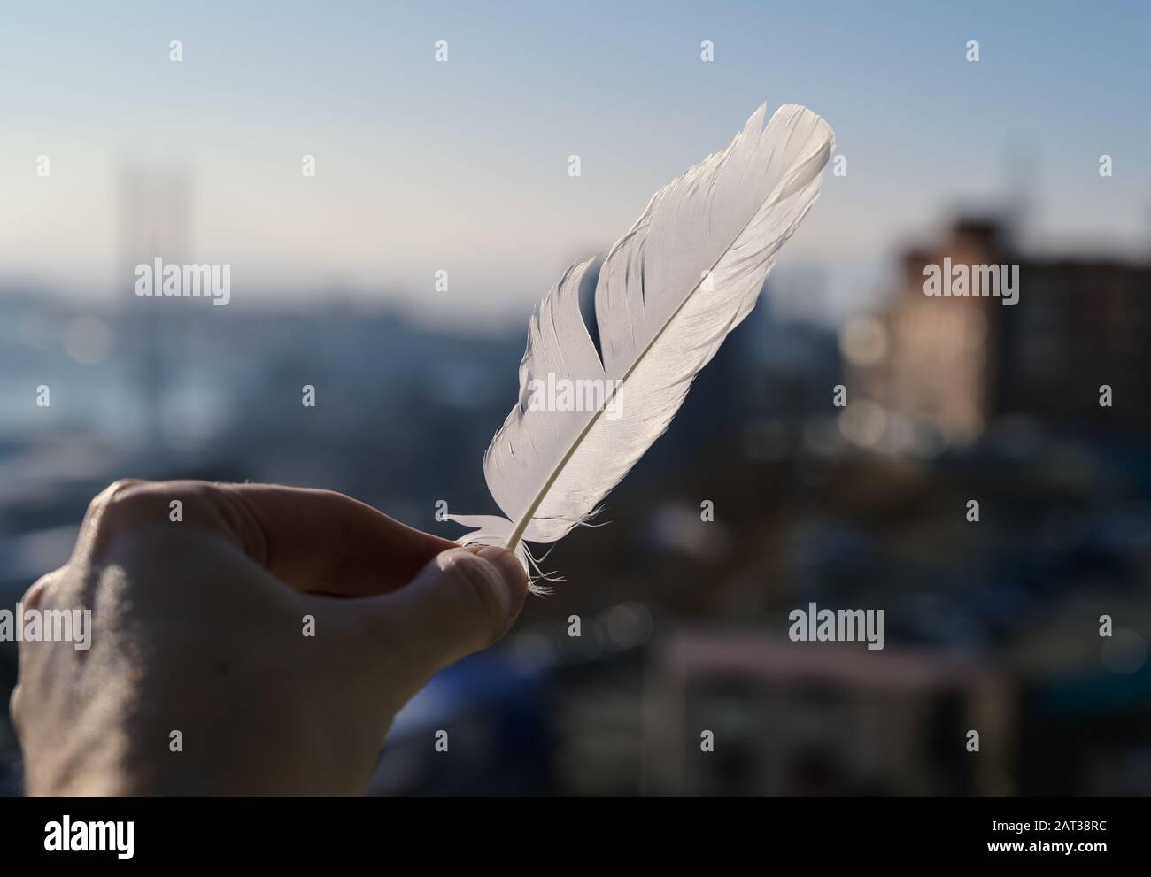 Feather in hand on the sky background Stock Photo - Alamy