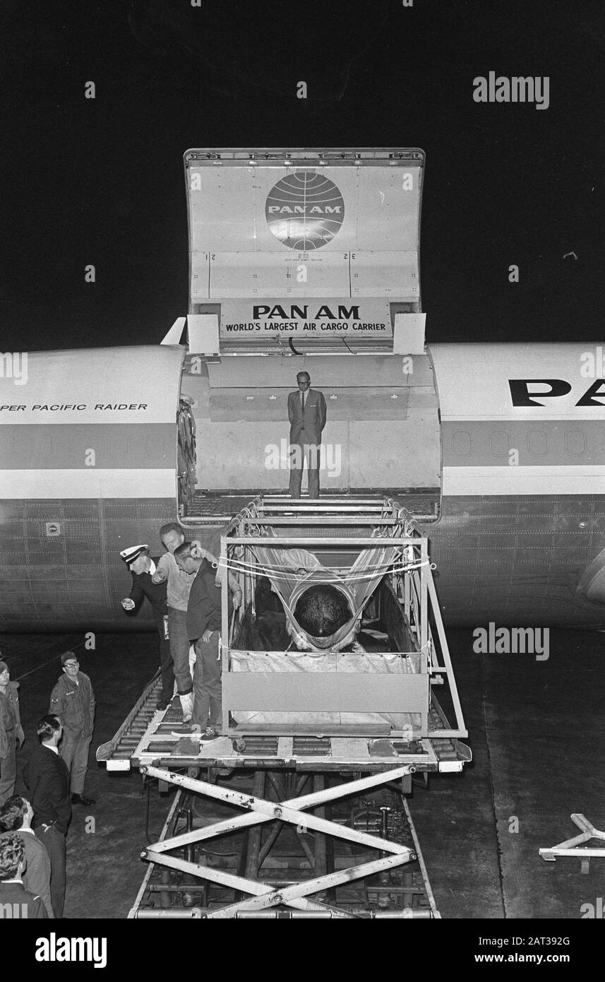 Animals from the air Black and White Stock Photos & Images - Alamy