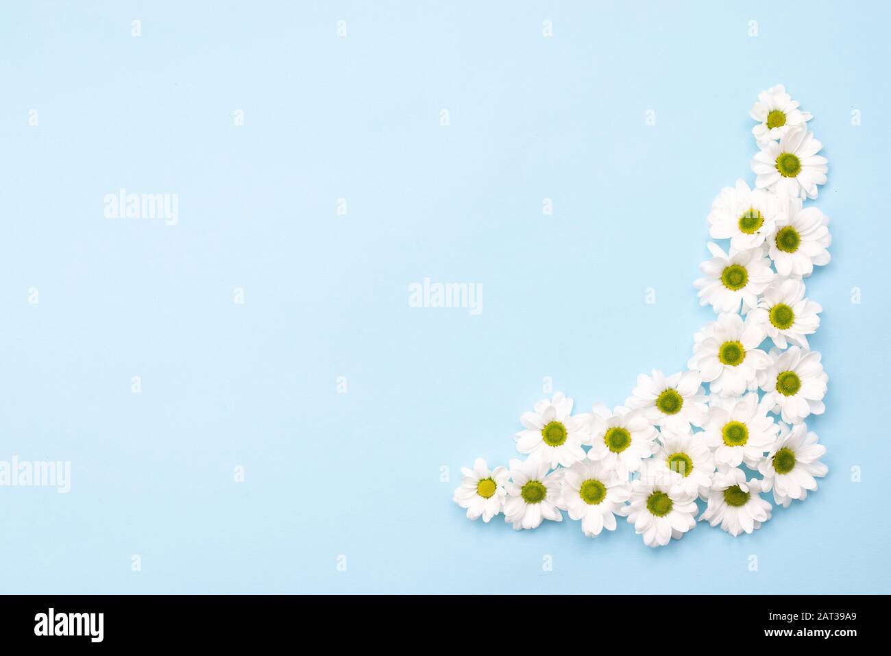 Flowers side frame, top view Stock Photo - Alamy