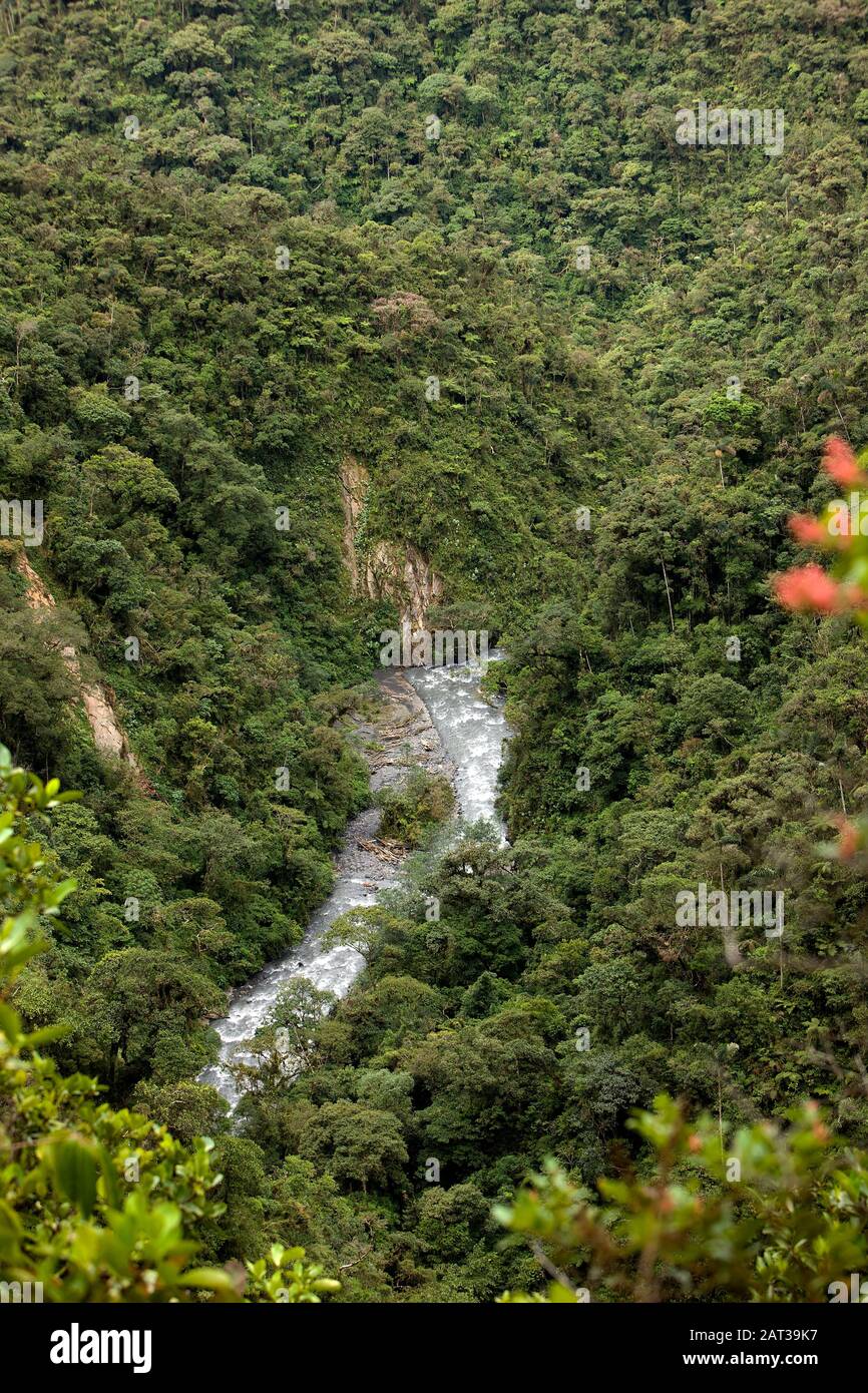 Tropical Forest and Waterfalls in Manu National Park, Peru Stock Photo ...