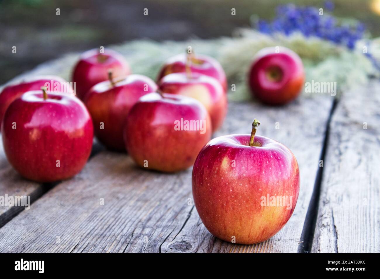 A lot of apples hi-res stock photography and images - Alamy