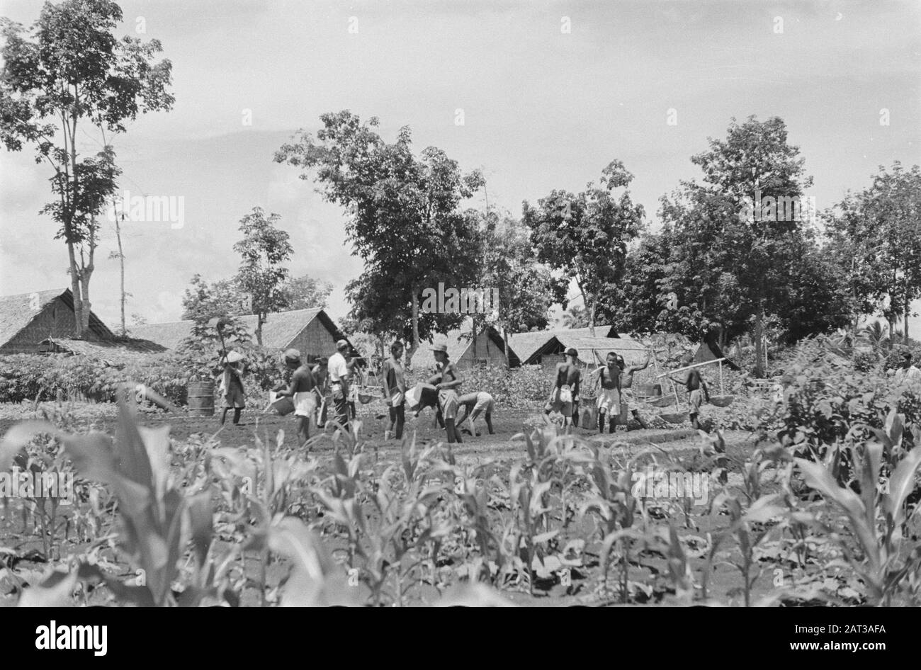 Dutch colony indonesia Black and White Stock Photos & Images - Alamy
