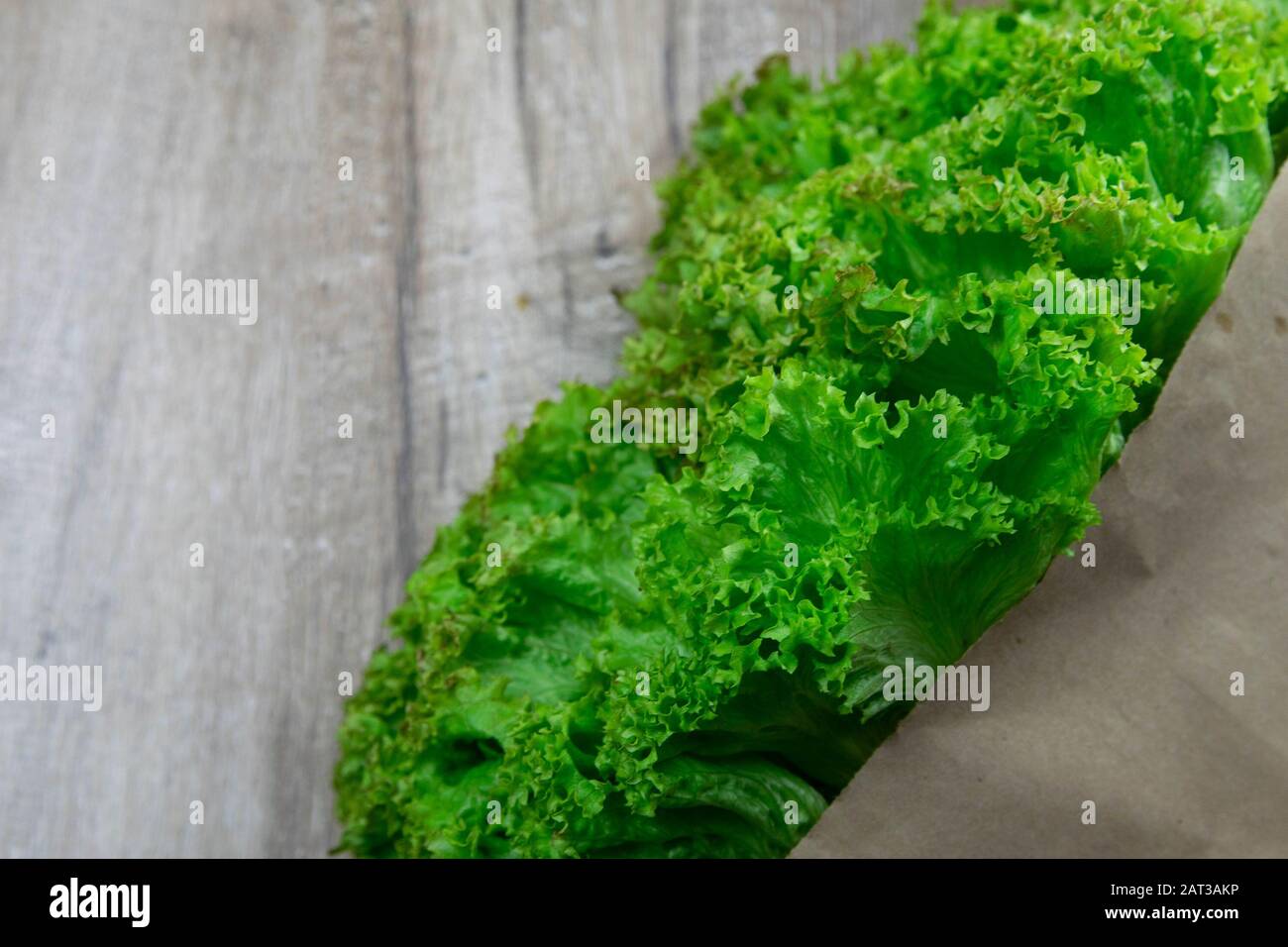 Rocca salad hi-res stock photography and images - Alamy