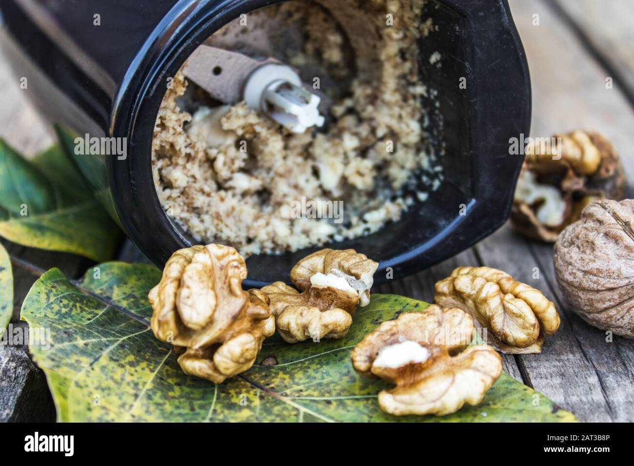 chopped walnut in a coffee grinder near the walnut kernel on an old ...
