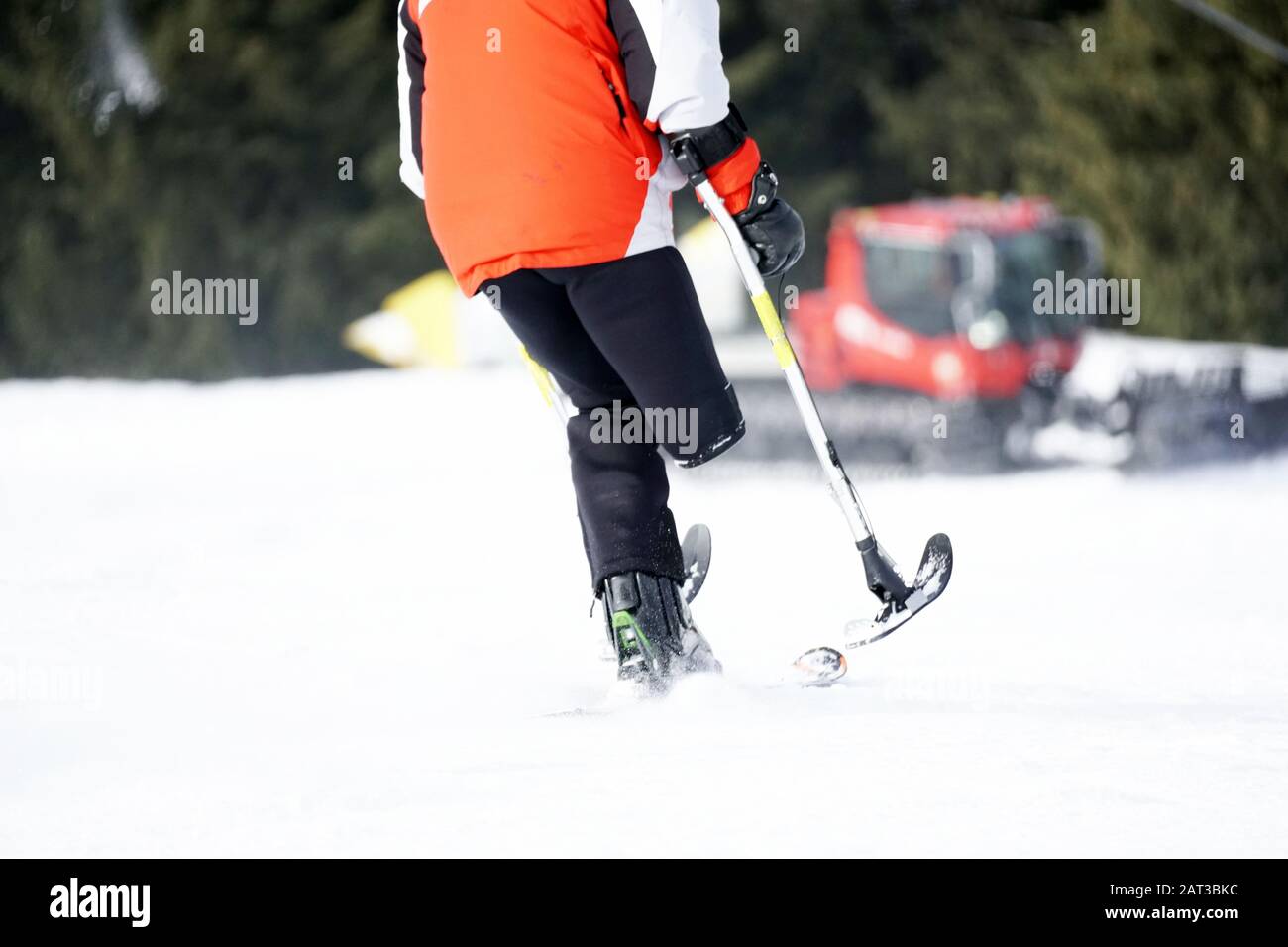 Resilient amputee skier displaying strength and determination training ...