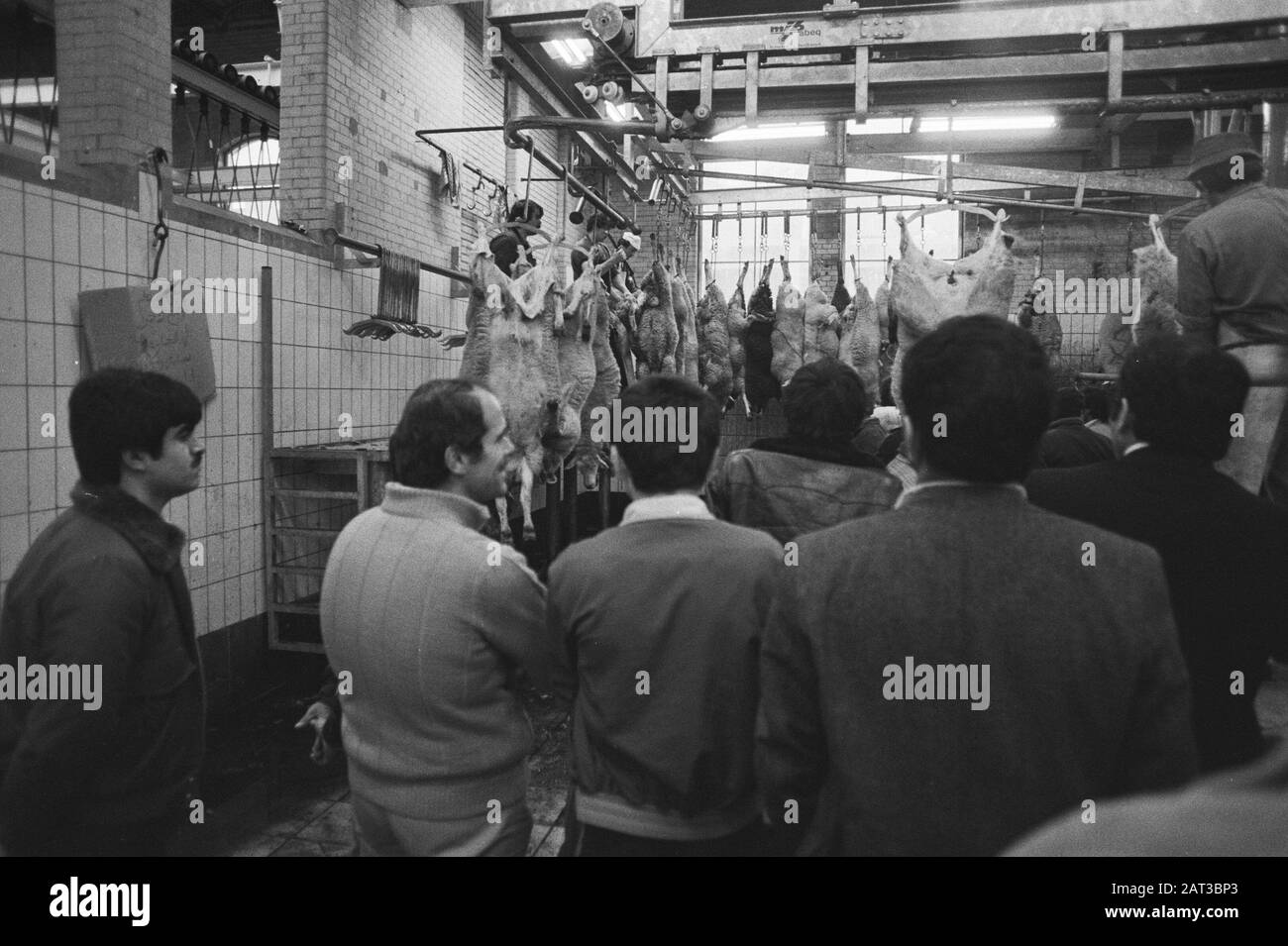 Bulls party Black and White Stock Photos & Images - Alamy