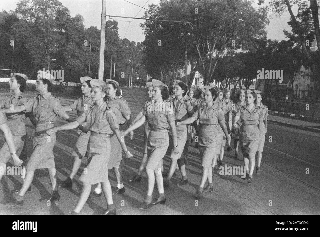 The Women S Corps And Miss Meijer L V D The Women S Corps Knil Vk
