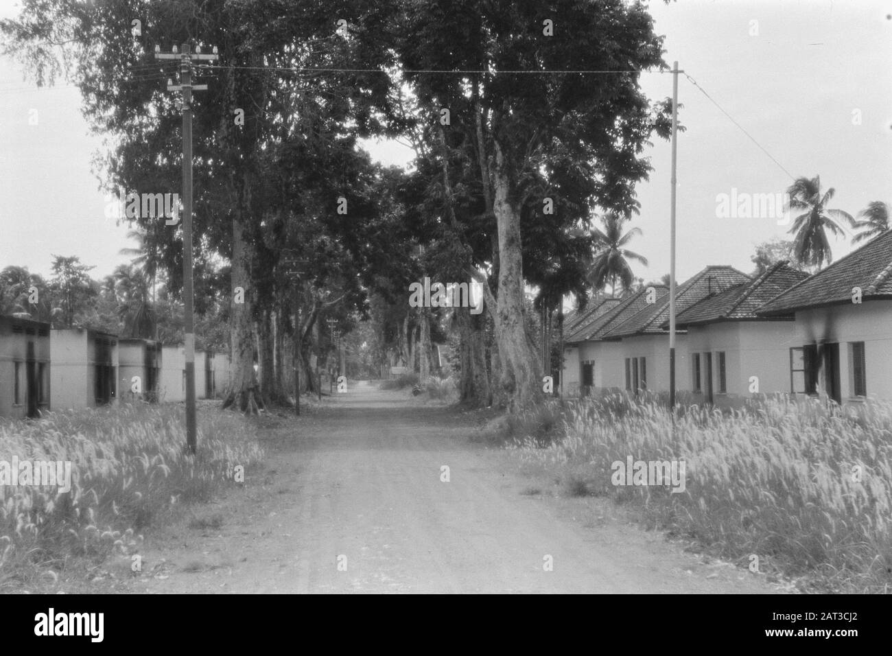 Reportage Tjilatjap The so-called 'new campement' in Tjilatjap was in ...