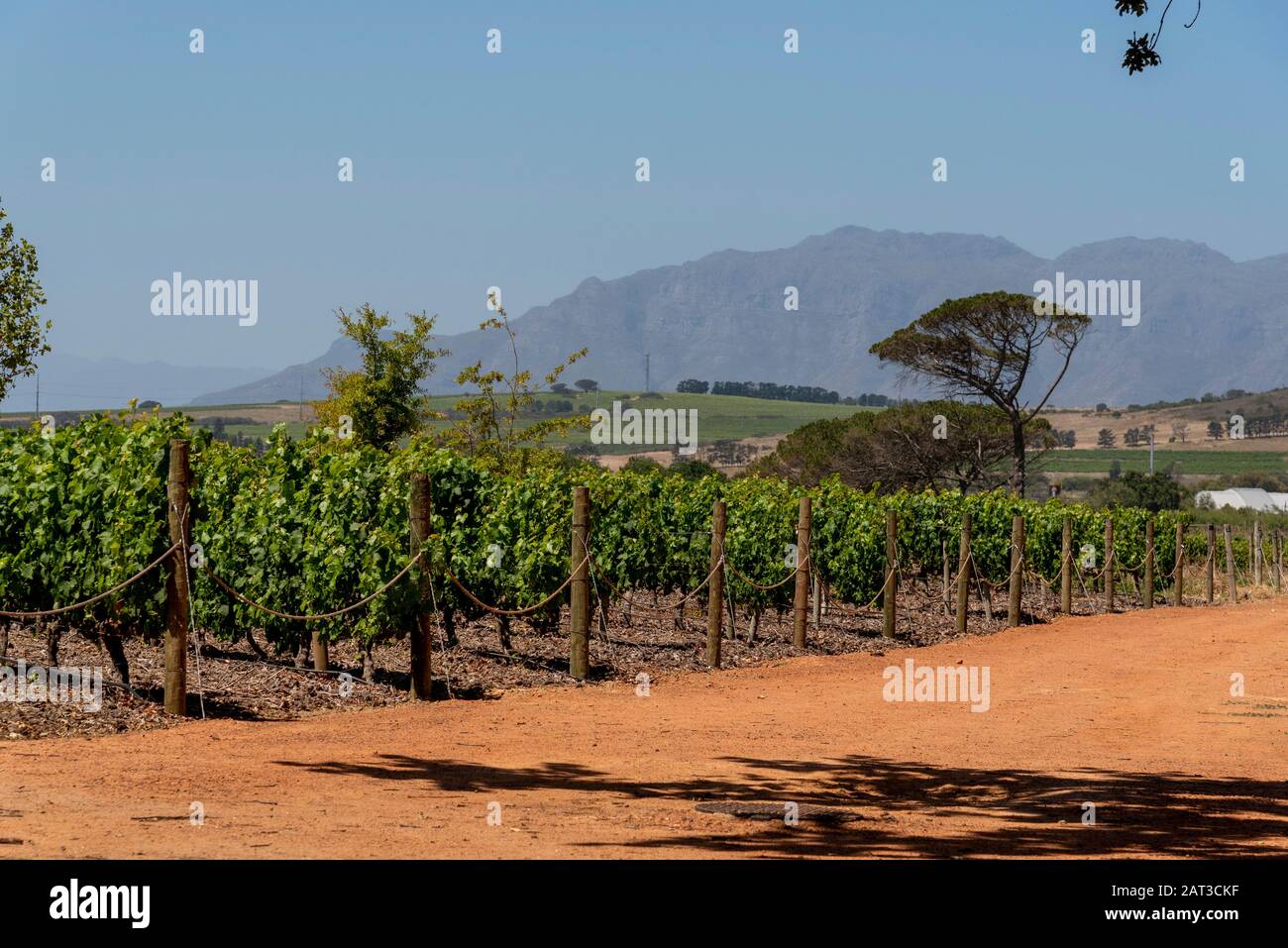 Faure, Stellenbosch, Western Cape, South Africa. Dec 2019. The ...