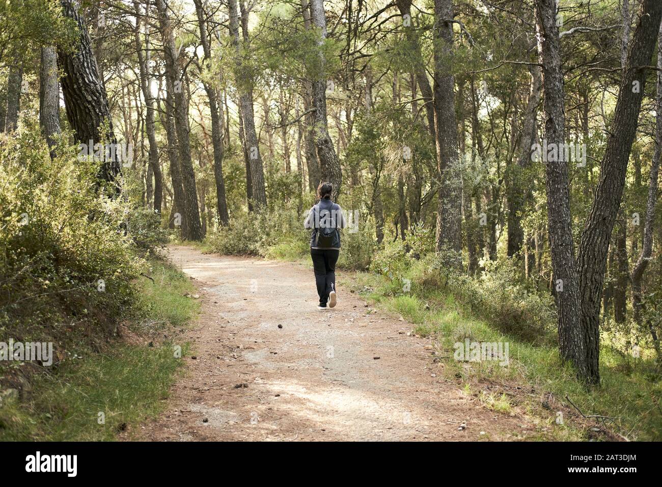 ATHENS, GREECE - Nov 03, 2018: Young woman hiking in a sunny forest in ...