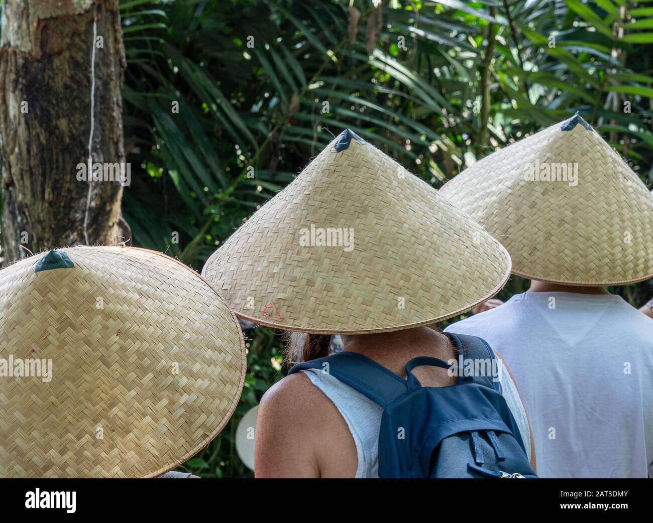 Vietnamese woman wearing traditional bamboo hat hi-res stock ...