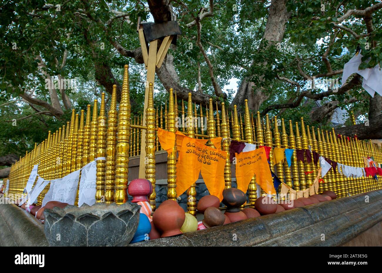 A golden coloured fence surrounding the sacred Bodhi tree at the ...
