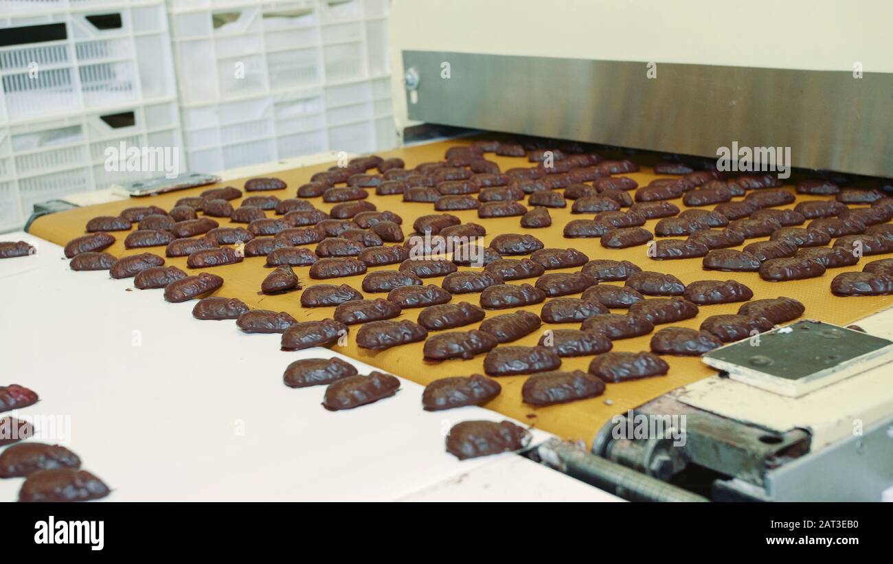 Candy factory. Chocolate candies lying on conveyor. Bunch of yummy ...
