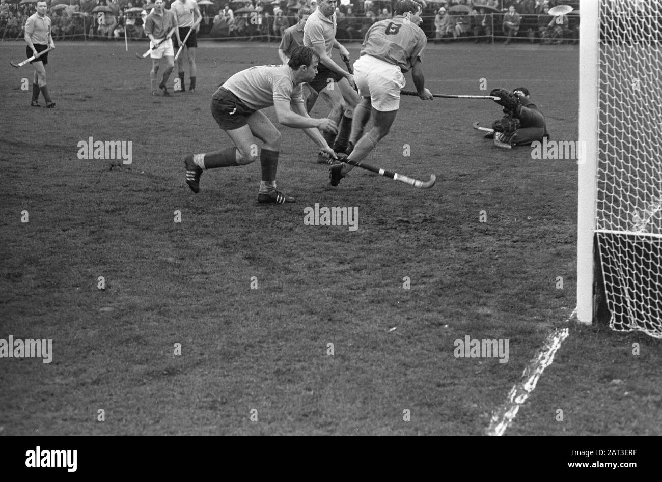 Ter haar hi-res stock photography and images - Alamy