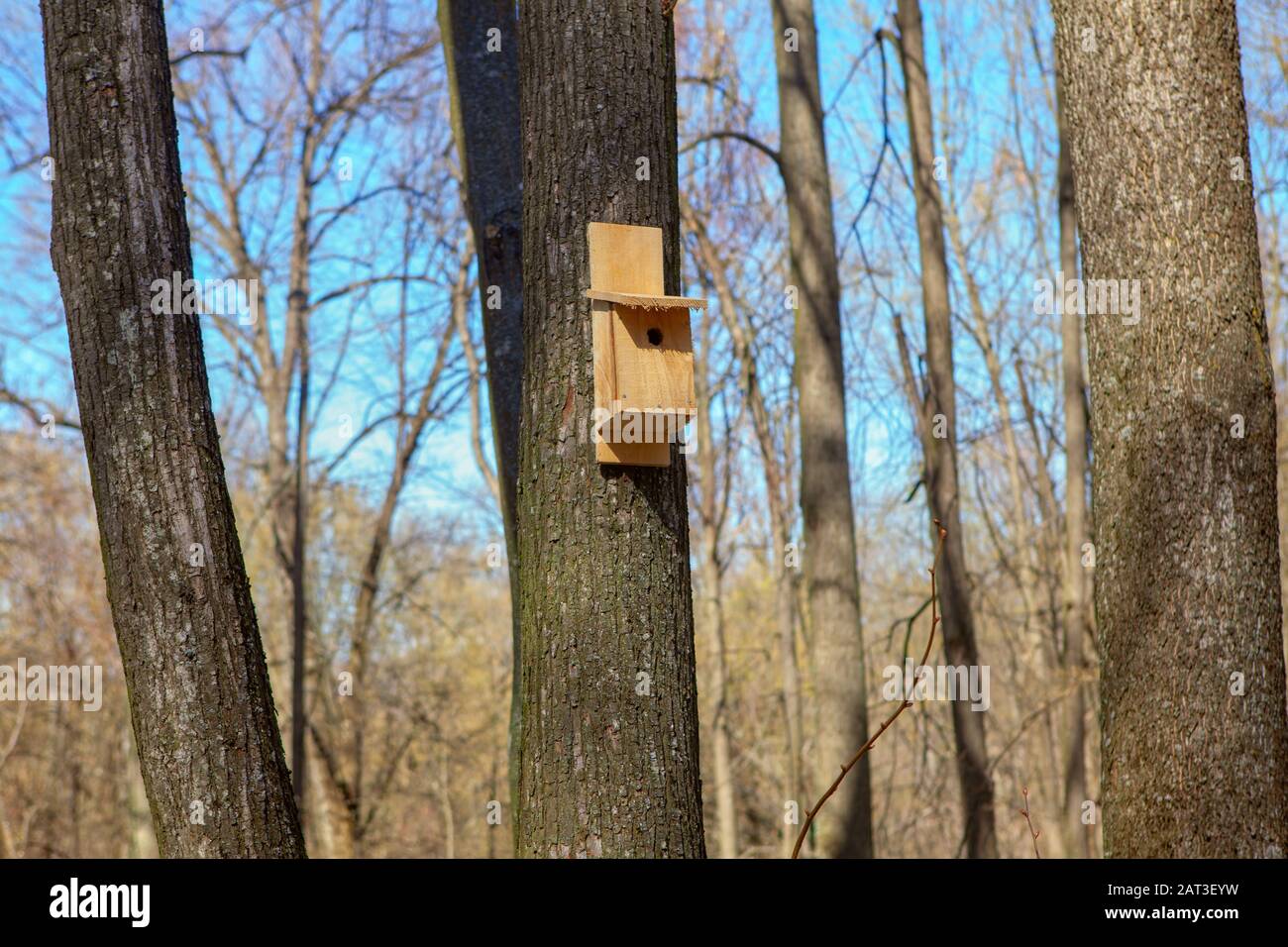Tree mounted nesting box hi-res stock photography and images - Alamy