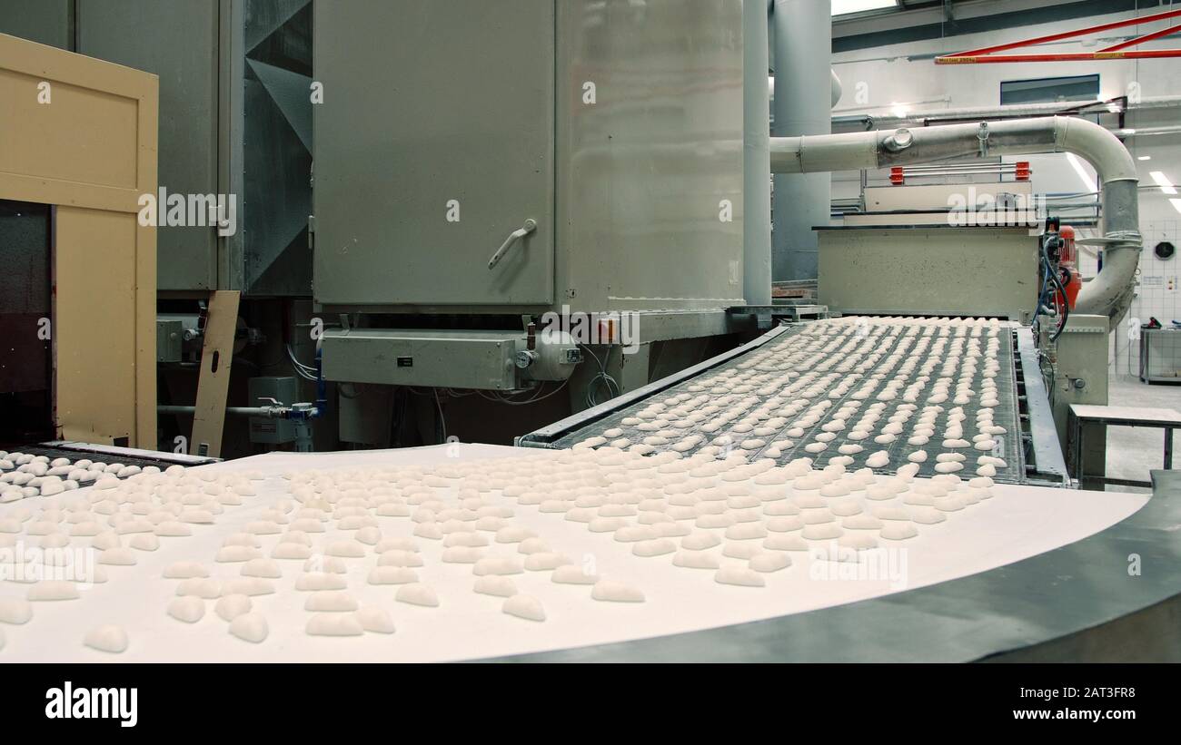 Candy factory. Fresh candies on conveyor belt. Rows of delicious fresh ...