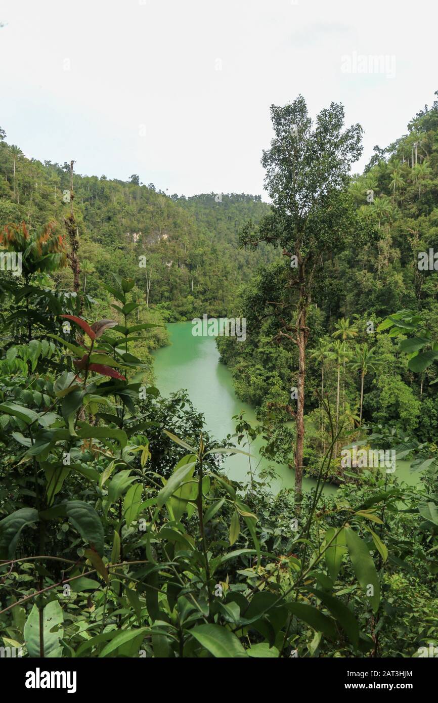 Indonesia papua province rainforest hi-res stock photography and images ...