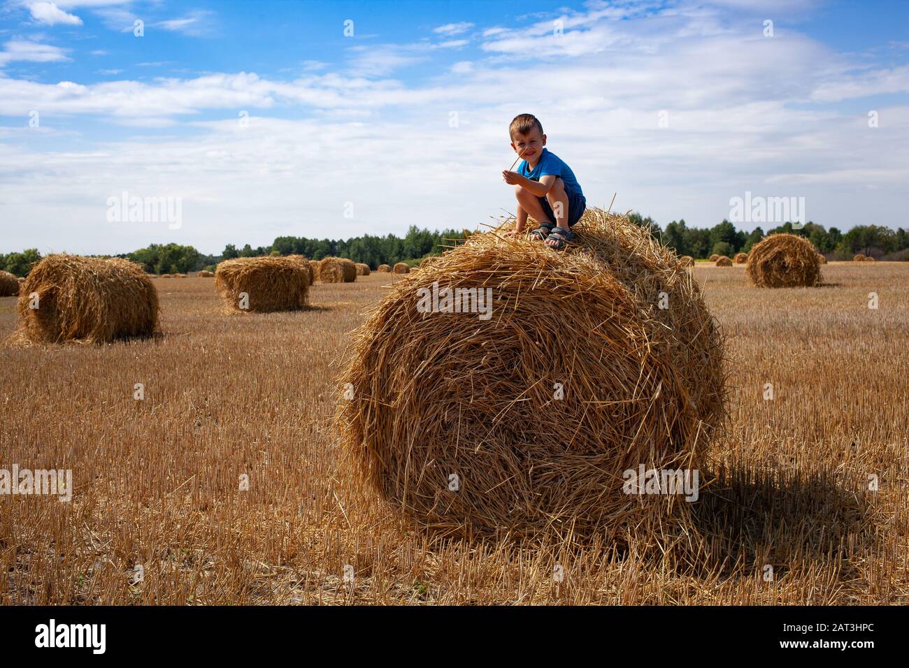 Little boy sits on a round haystack. Field with round bales after ...