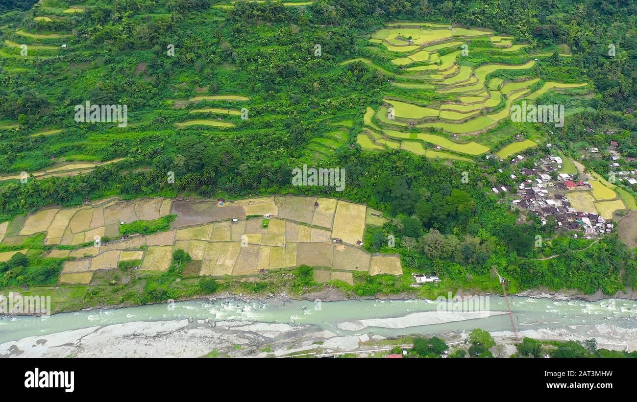 Village and river in a mountain gorge, top view. Rice cultivation in ...