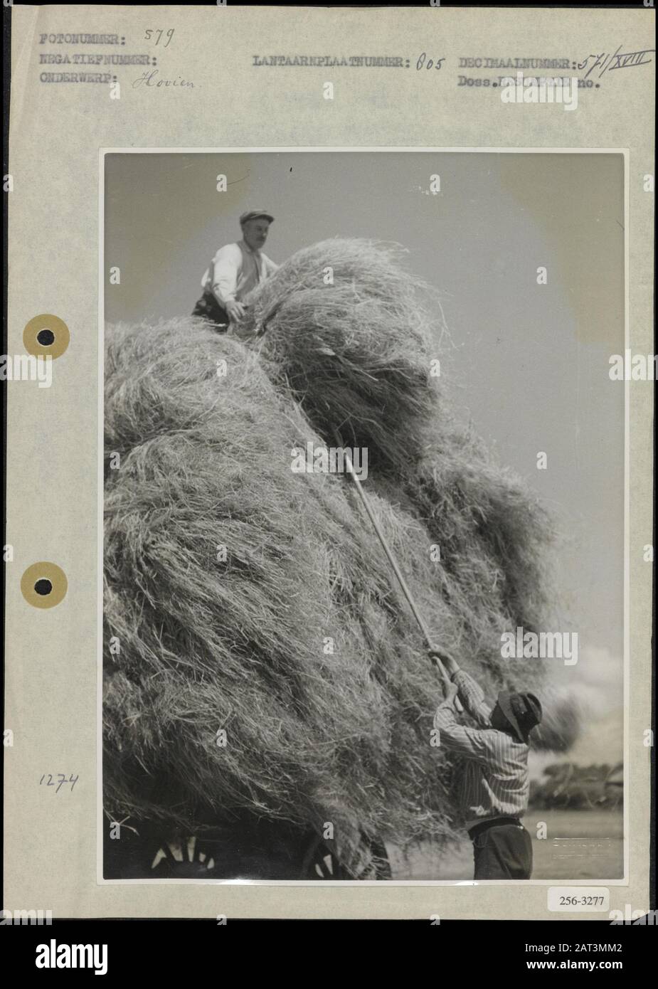 Hay Date: undated Keywords: hay, agriculture Stock Photo - Alamy