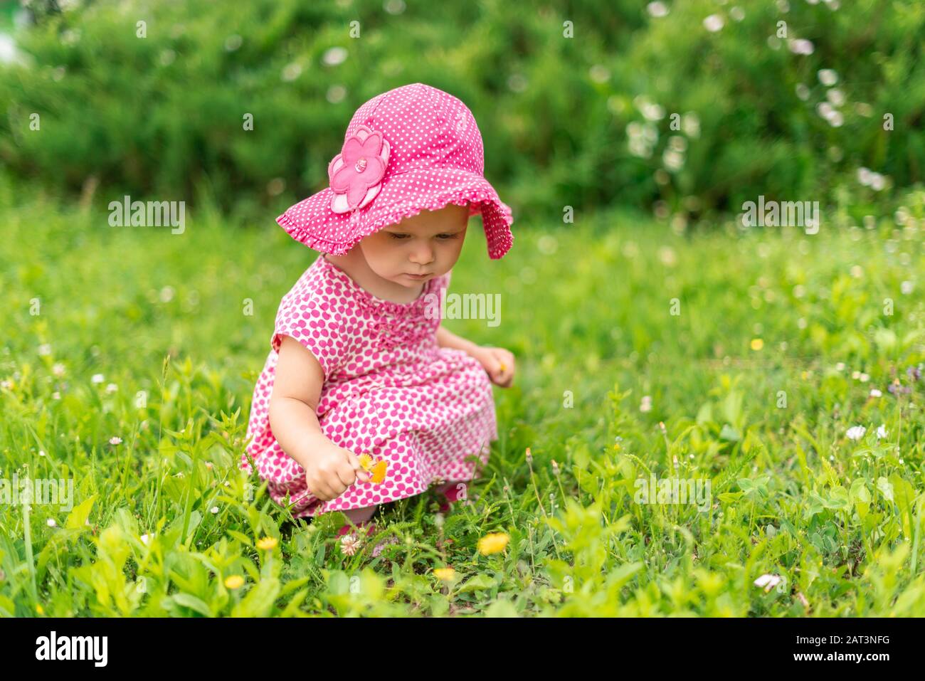 Little baby girl in pink crouching on the lawn and picking flowers ...