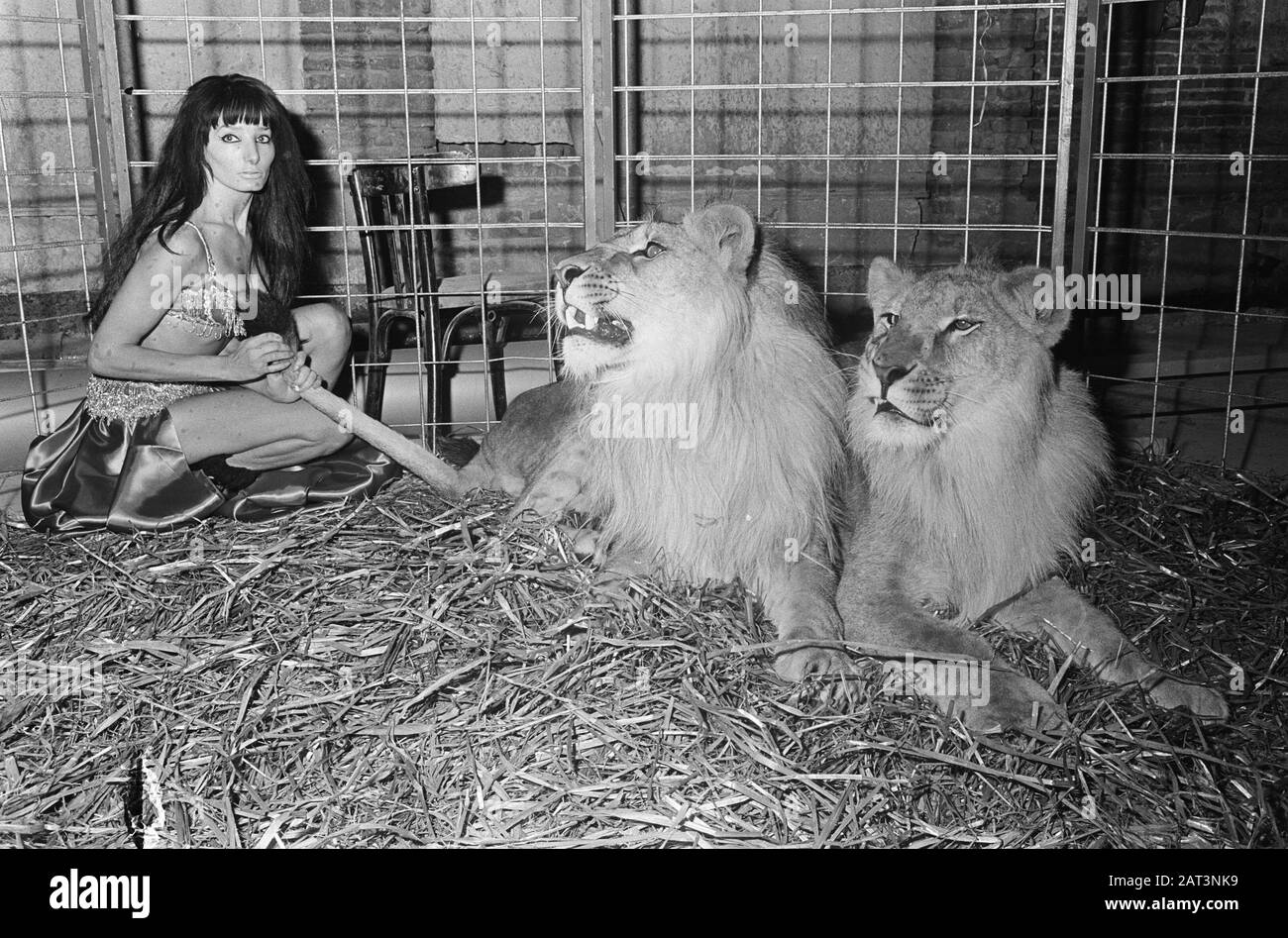 Moulin rouge dancer Black and White Stock Photos & Images - Alamy