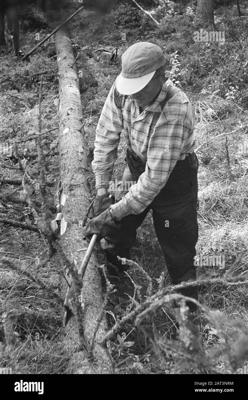 Finland Woodcutter at work with axe Date: 5 July 1967 Location: Finland ...