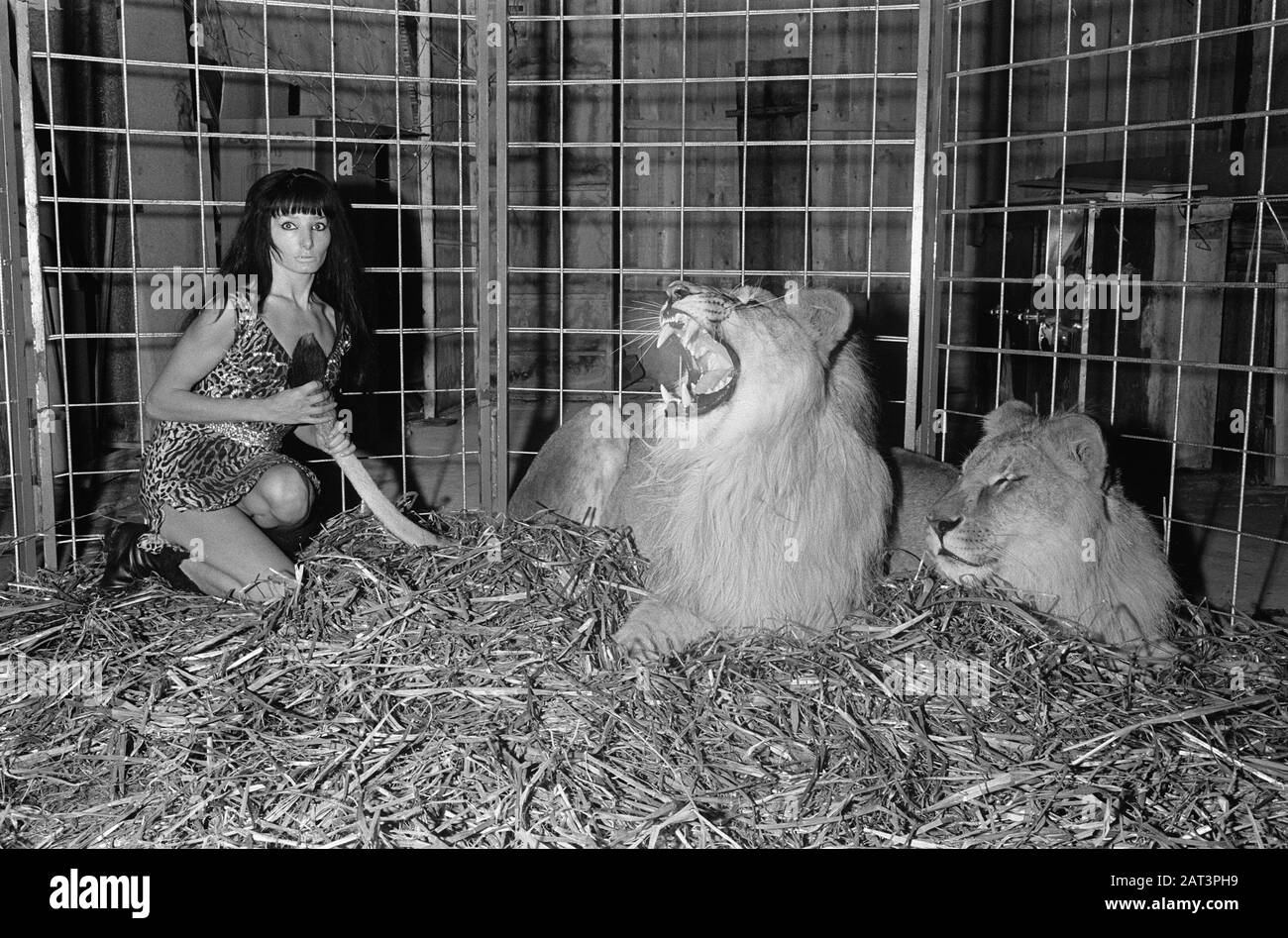 Burlesque cabaret dancer hi-res stock photography and images - Alamy