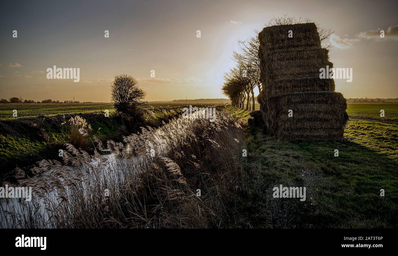 Romney marsh canal hi-res stock photography and images - Alamy